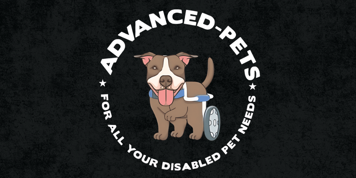 Advanced-Pets Offers Custom Orthotic and Prosthetic Solutions for ...