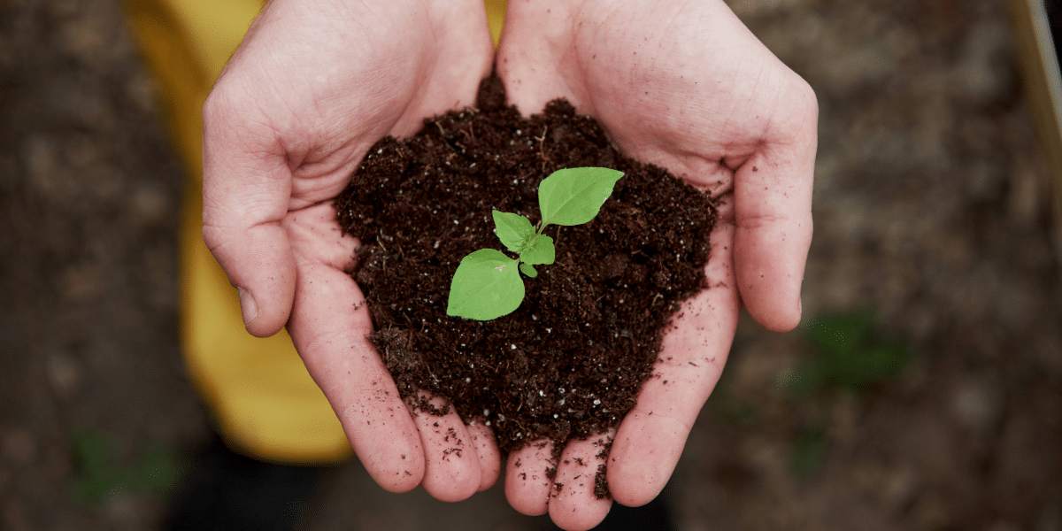 Sustainable Building: Paving the Way for a Greener Future