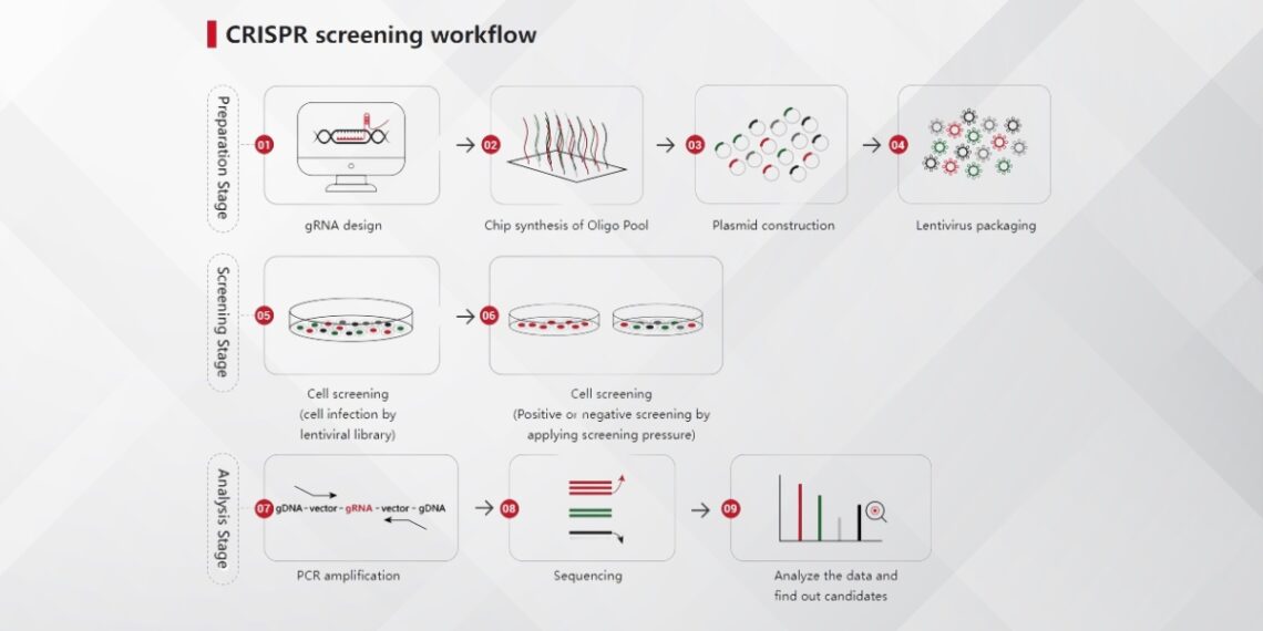 What is the Difference Between RNA Sequencing and CRISPR Screening ...